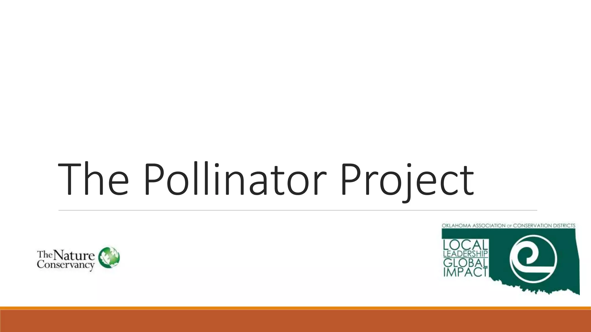 The pollinator project | PPTX