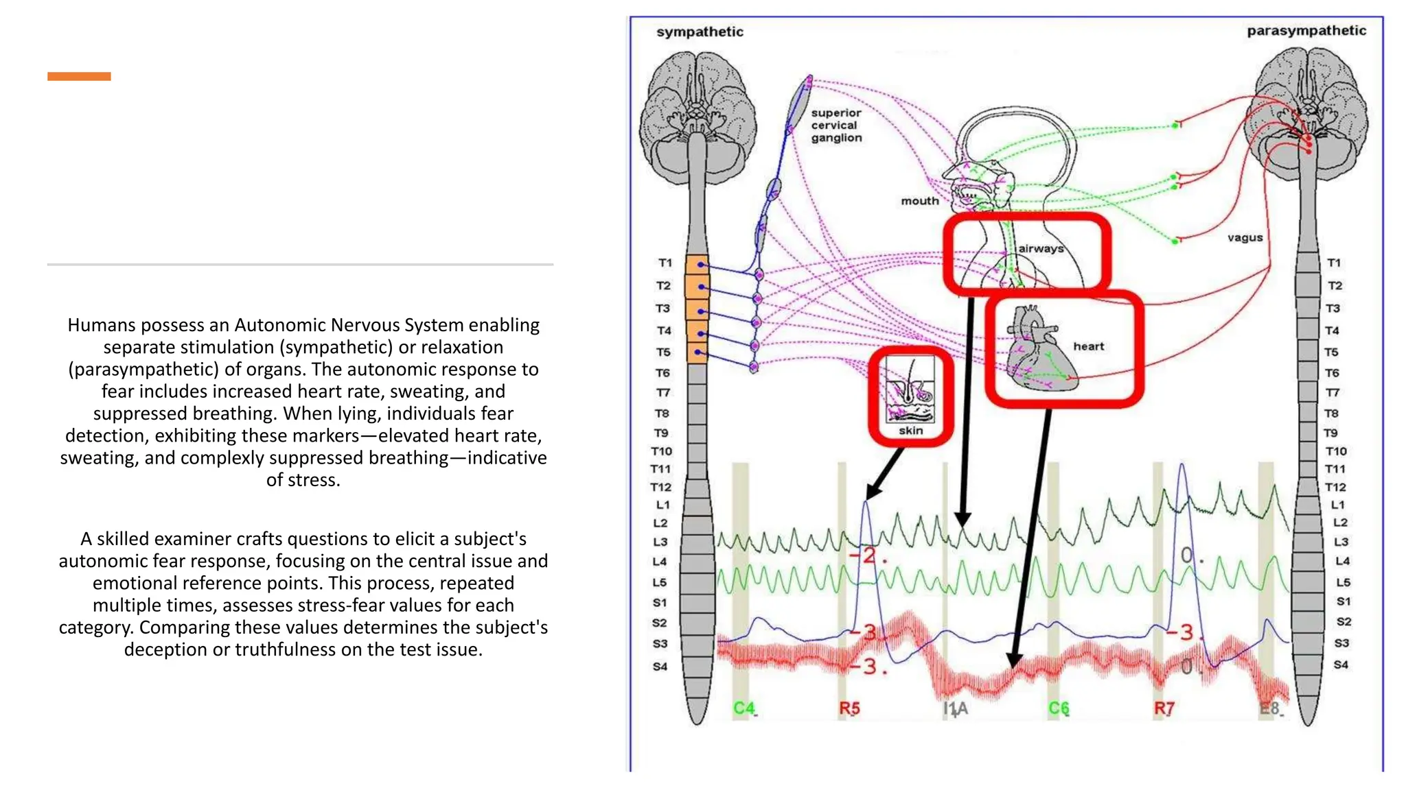 Forensic Psychology: The Polygraph Test.pptx
