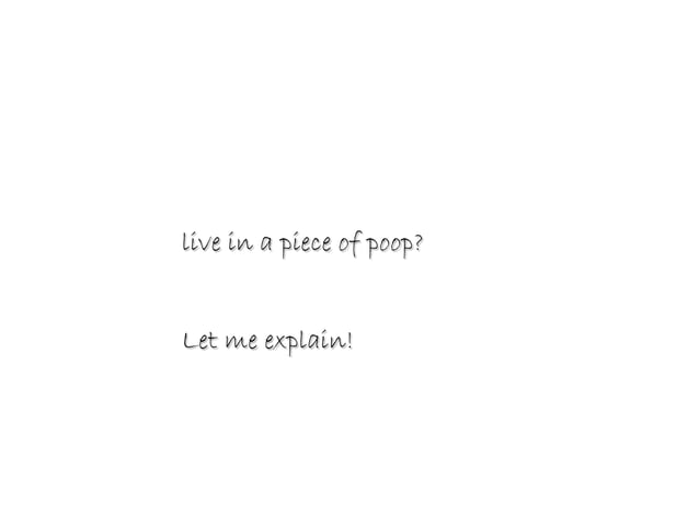 The Poop Theory | PPT