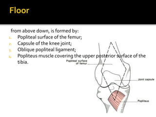 The popliteal fossa | PPTX