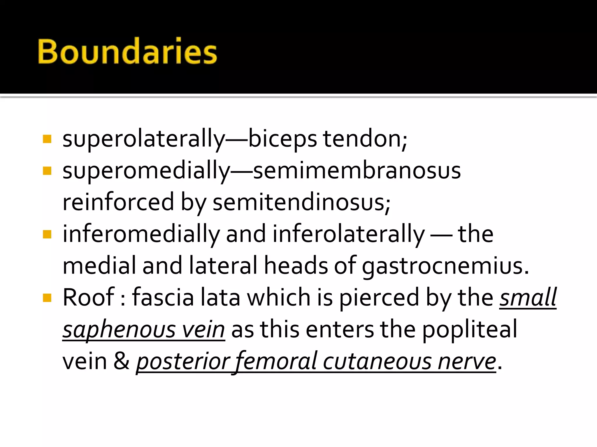 The popliteal fossa anatomy | PPTX