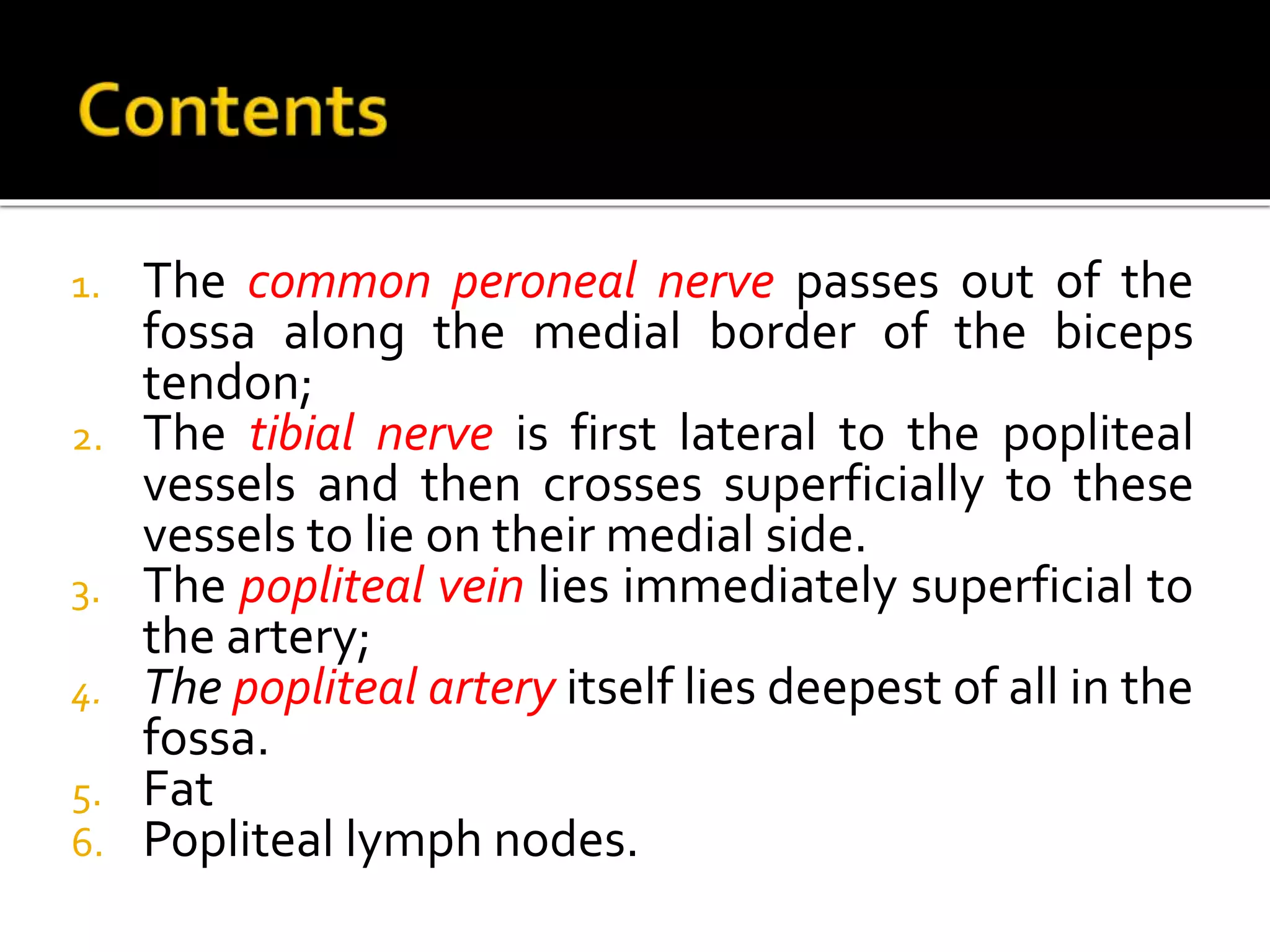 The popliteal fossa anatomy | PPTX