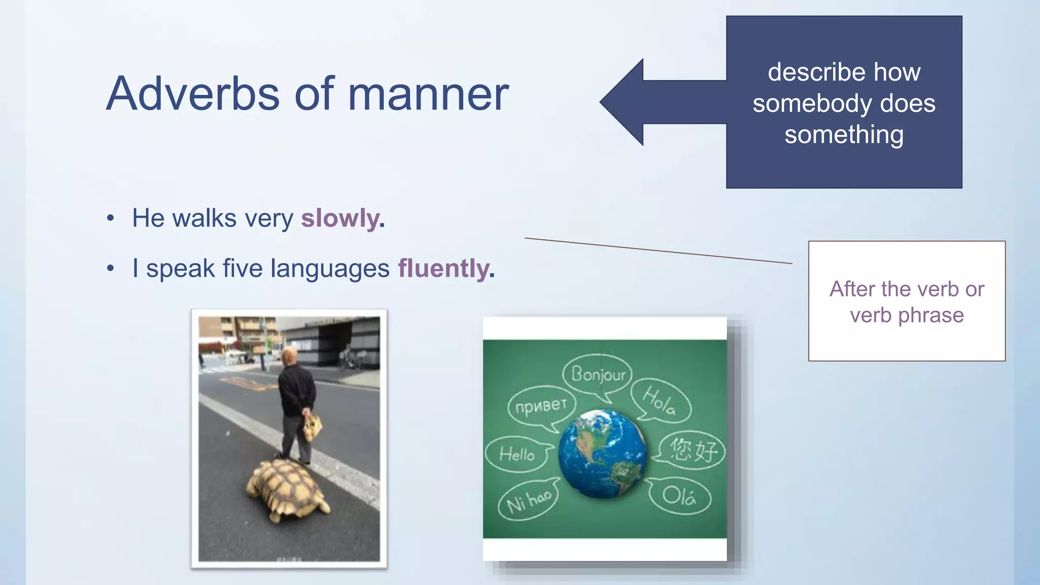 The position of adverbs and adverbial phrases | PPTX