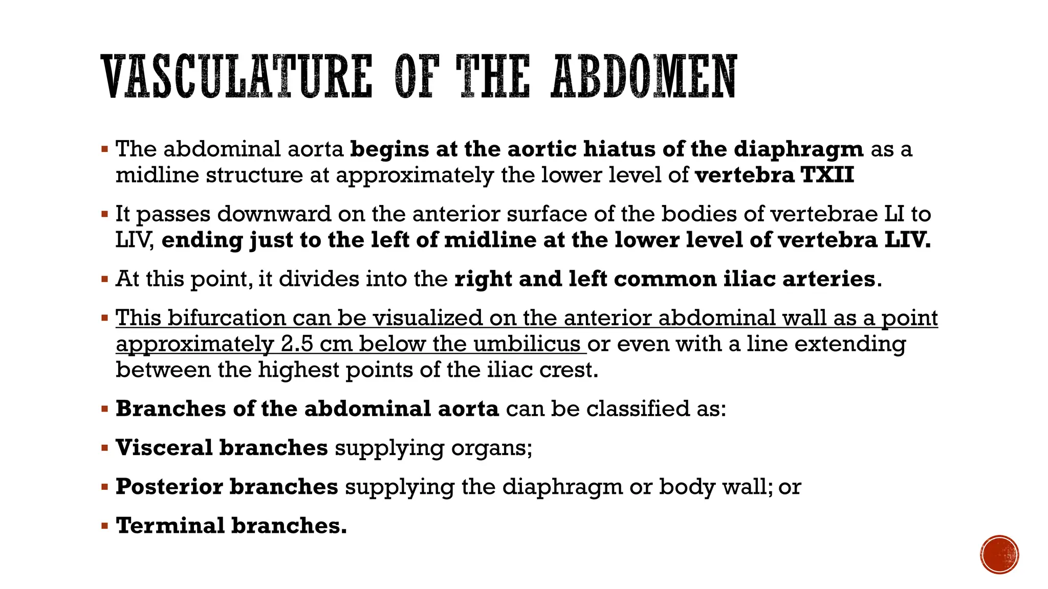 The posterior abdominal wall and Vasculature of abdomen.pdf