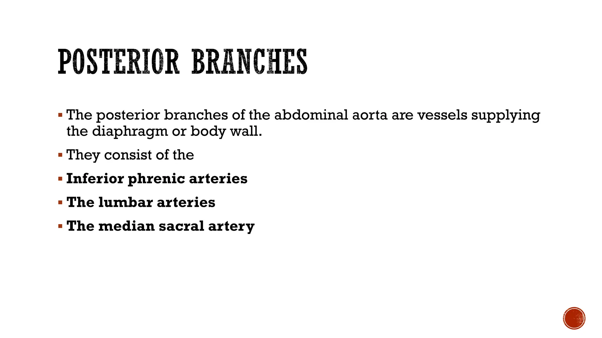 The posterior abdominal wall and Vasculature of abdomen.pdf