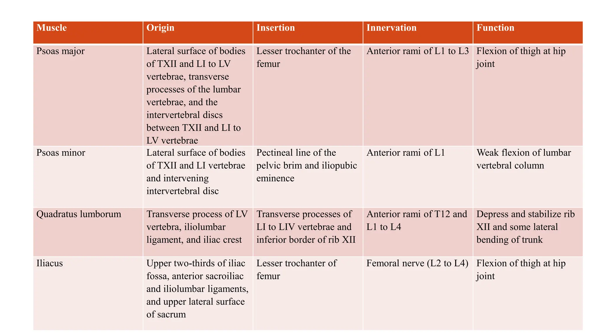 The posterior abdominal wall and Vasculature of abdomen.pdf