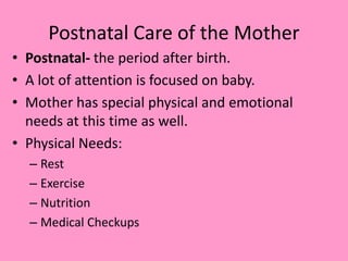 The Postnatal Period.ppt