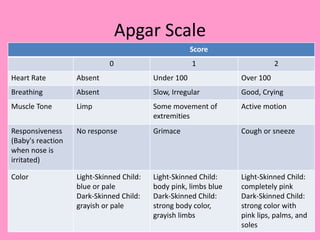 The Postnatal Period.ppt