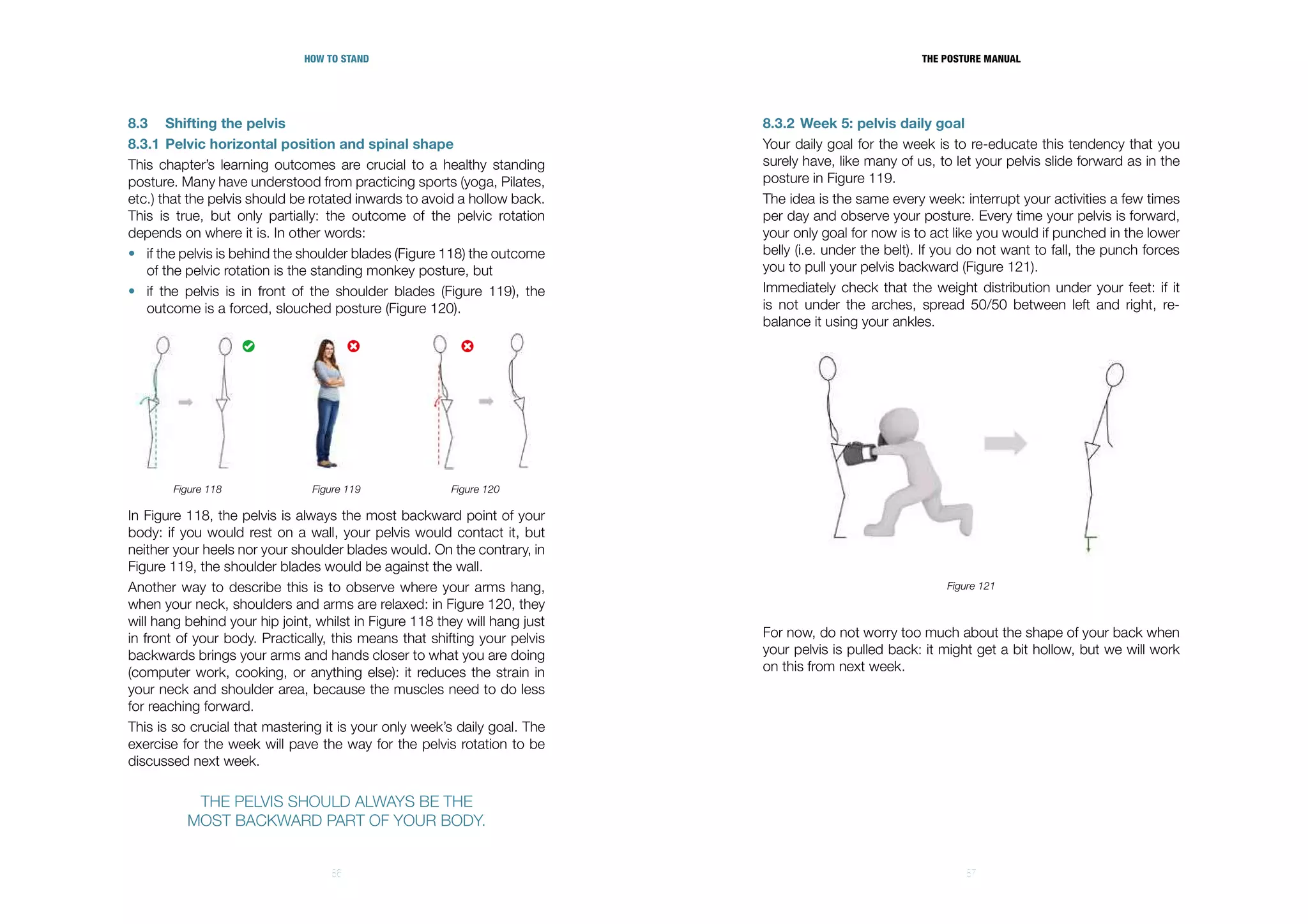 THE POSTURE MANUAL (samples) | PPT