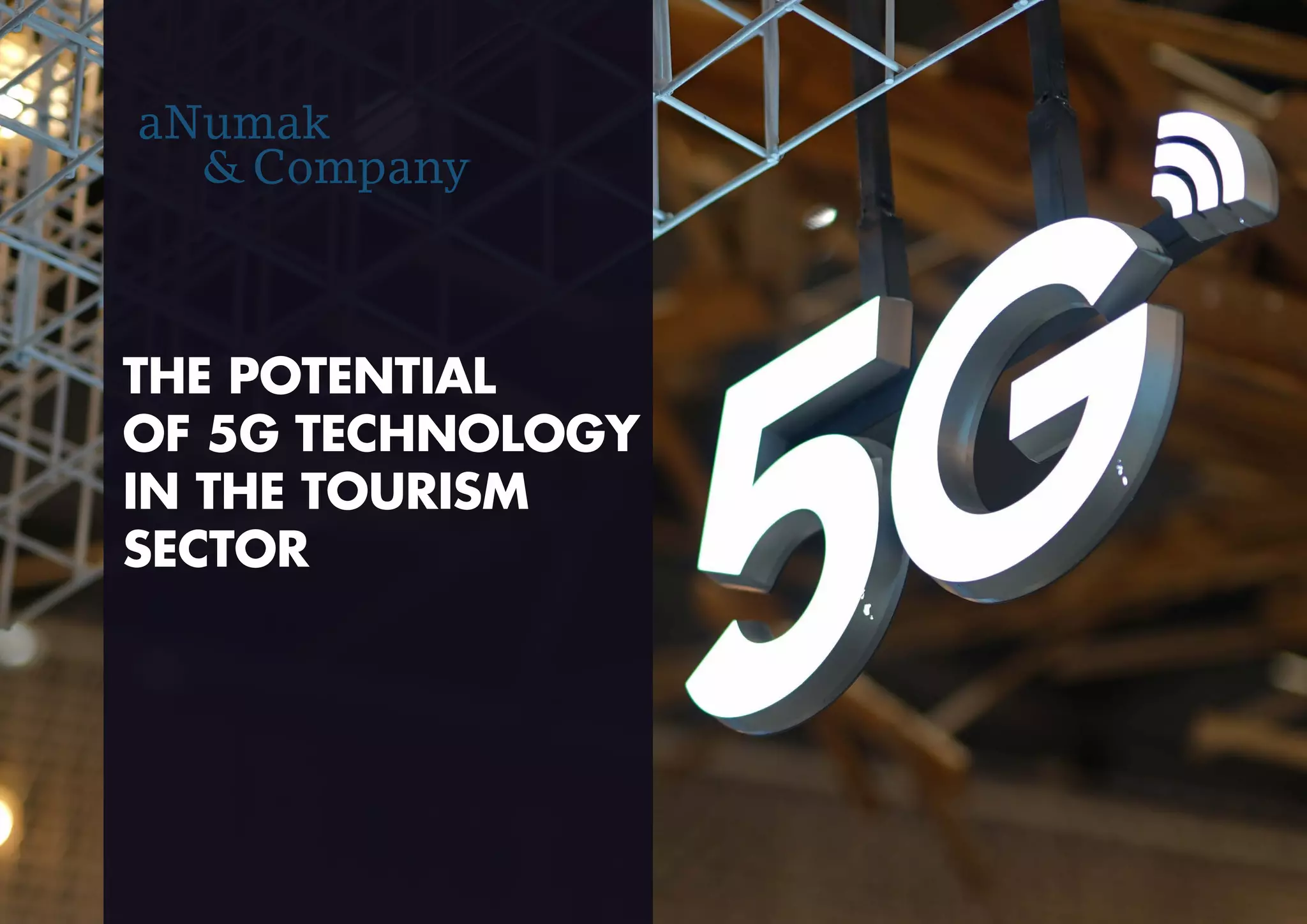 The potential of 5g technology in the tourism sector | PDF