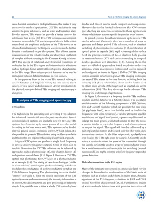 The potential of terahertz imaging for cancer diagnosis | PDF | Physics | Science