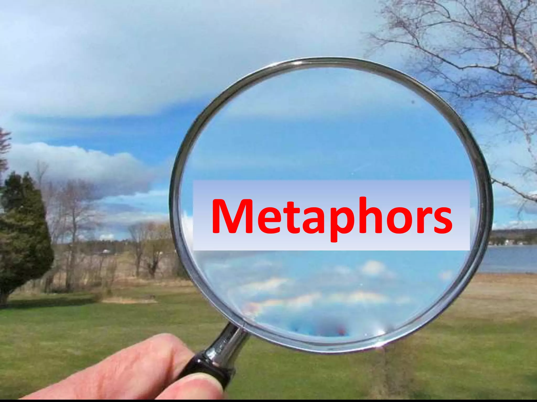 The power and limitation of leadership and organisational metaphors | PPT