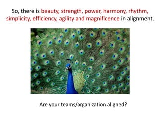 Understand the power of alignment through metaphors | PDF