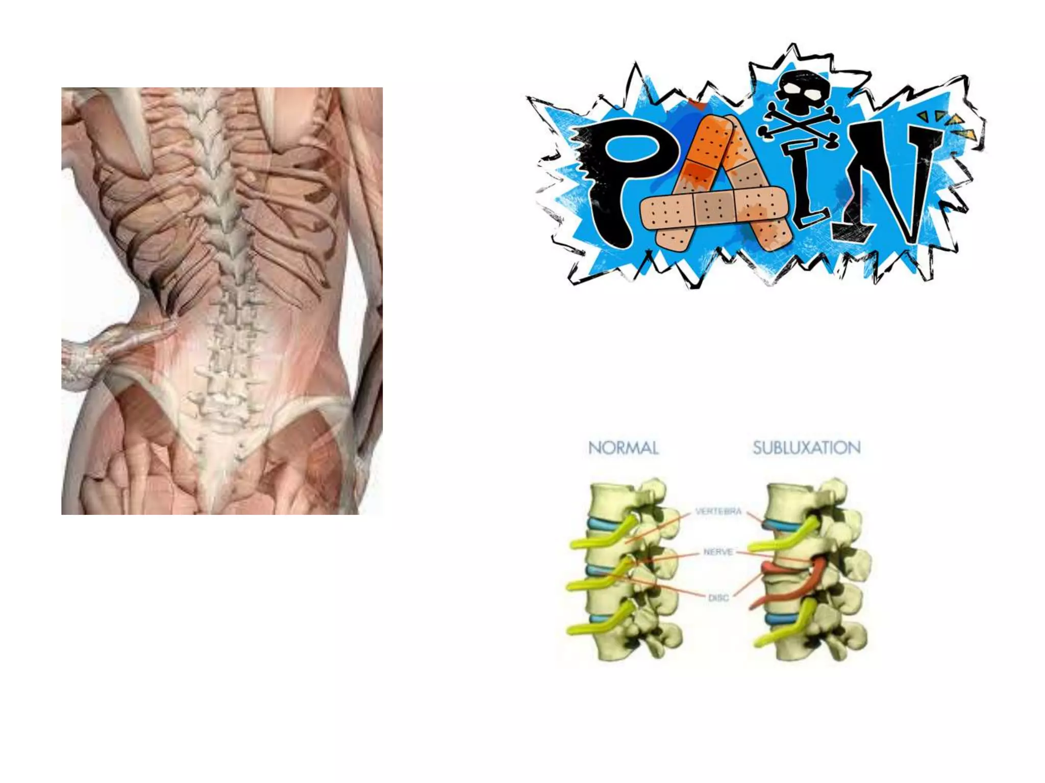 The power of geese | PPTX