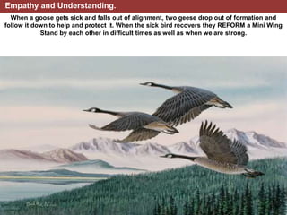 The power of geese | PPTX