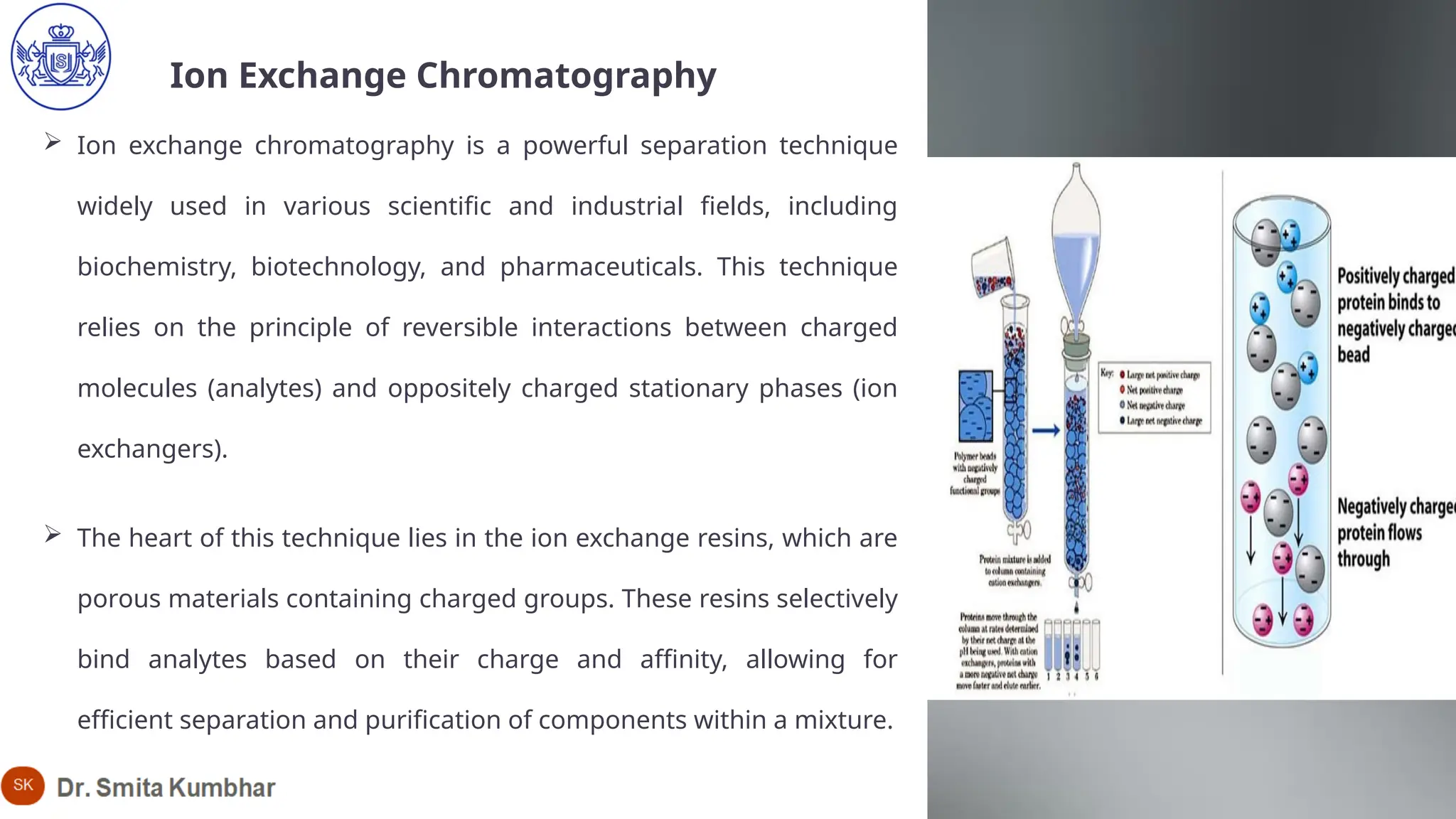 The Power of Ion Exchange Chromatography.pptx