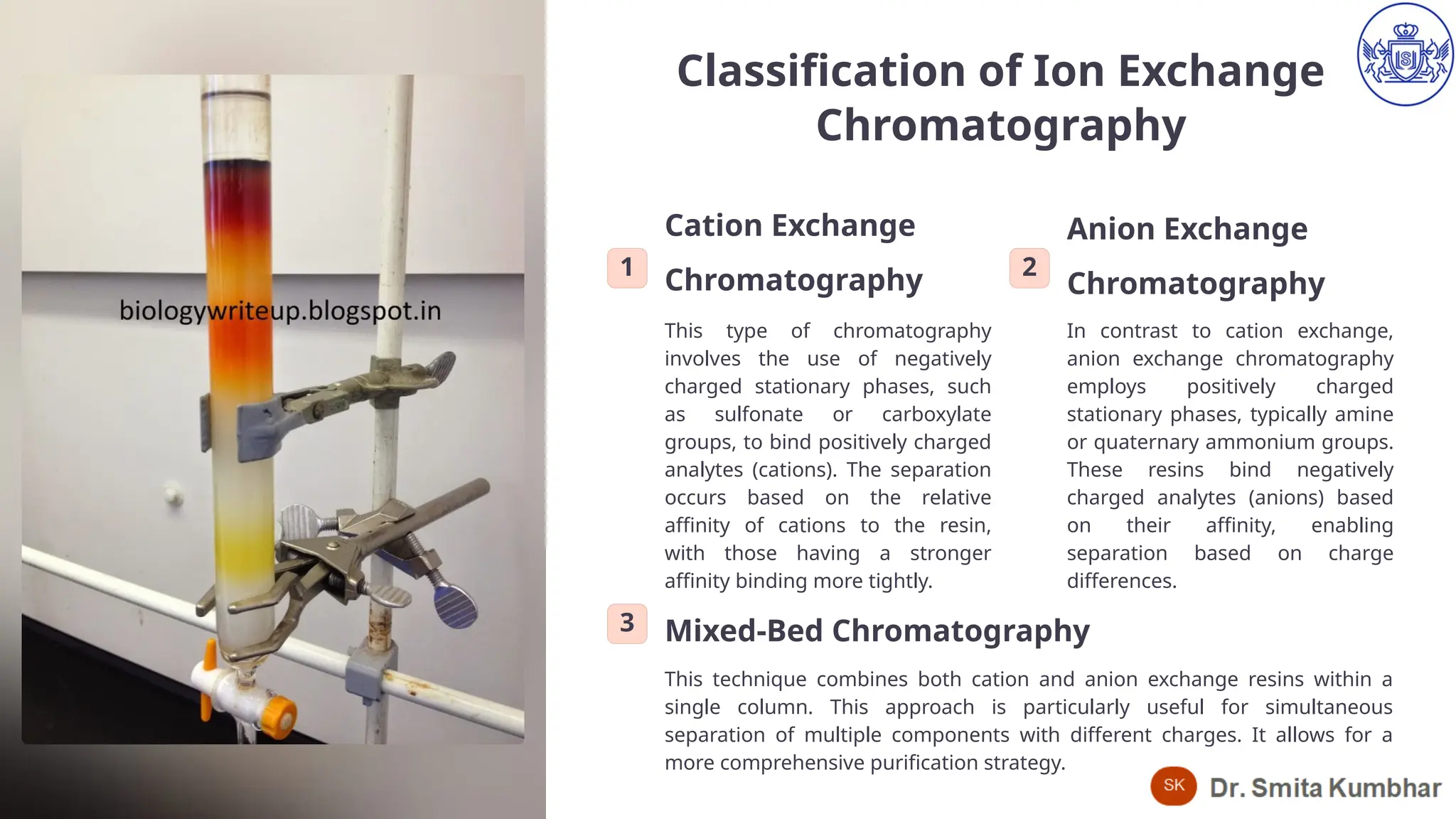 The Power of Ion Exchange Chromatography.pptx