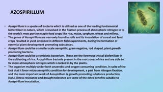 The Power of Microbes.pptx