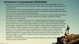 The Power of Microbes.pptx