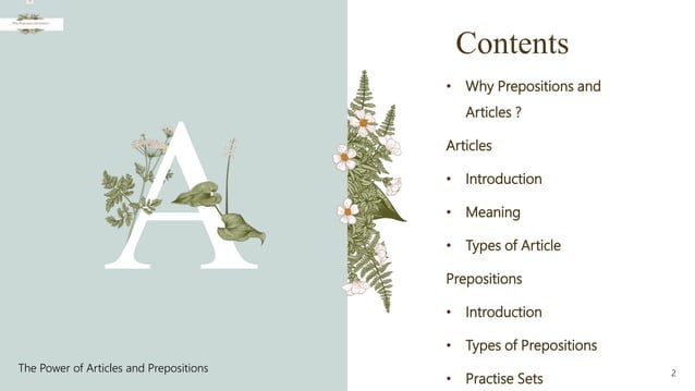 The Power of Preposition and Articles.pptx