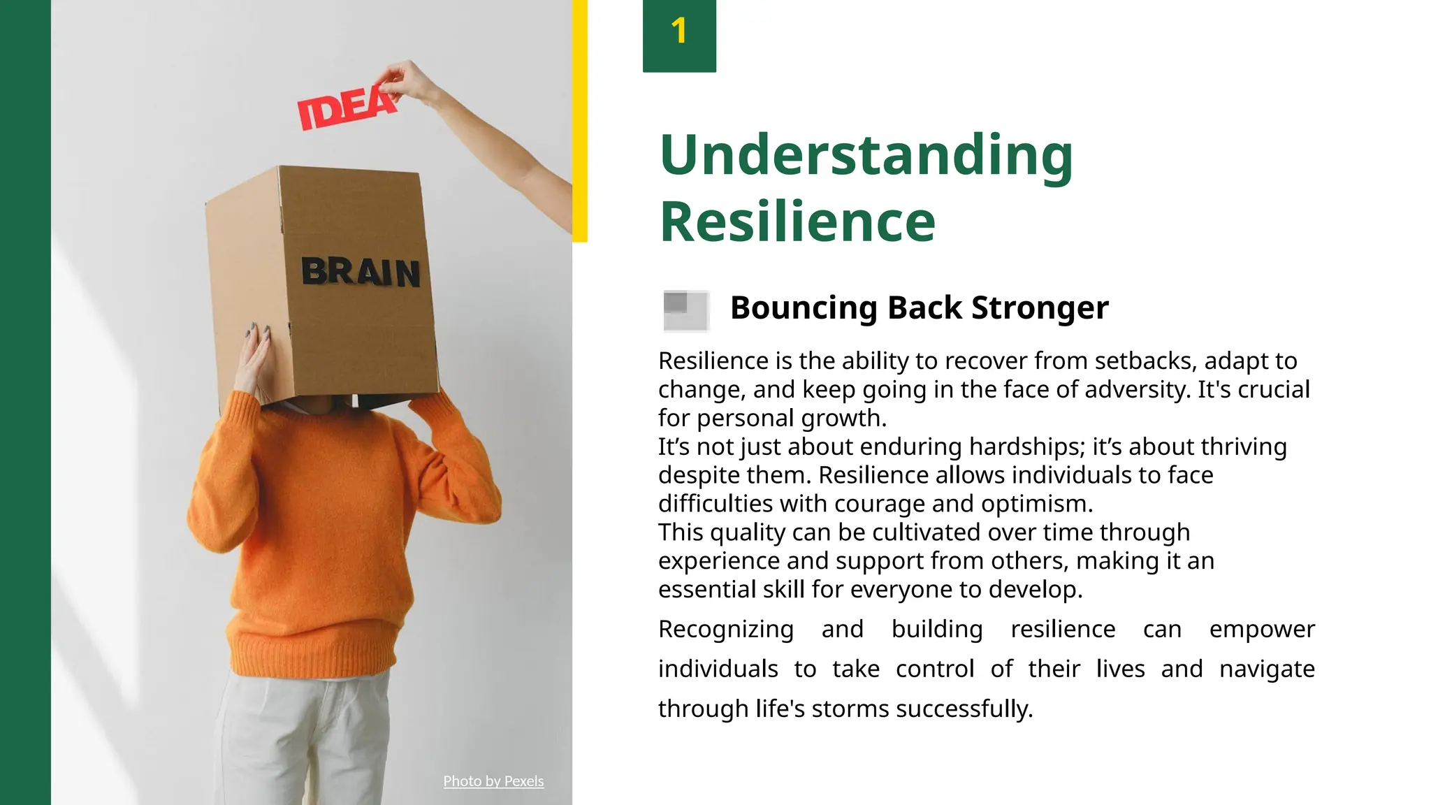 ThePowerofResilienceac28fe89751e8bd8.pptx