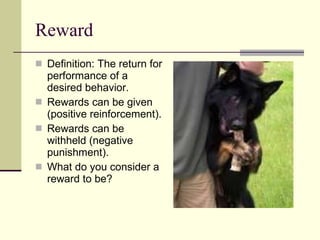 The Power of Reward in K9 Training | PPT