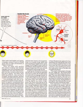 The power of the bilingual brain | PDF