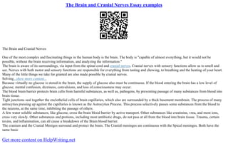 The Power Of The Human Brain Essays | PDF