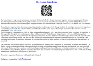 The Power Of The Human Brain Essays | PDF