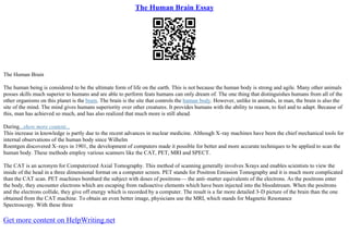 The Power Of The Human Brain Essays | PDF