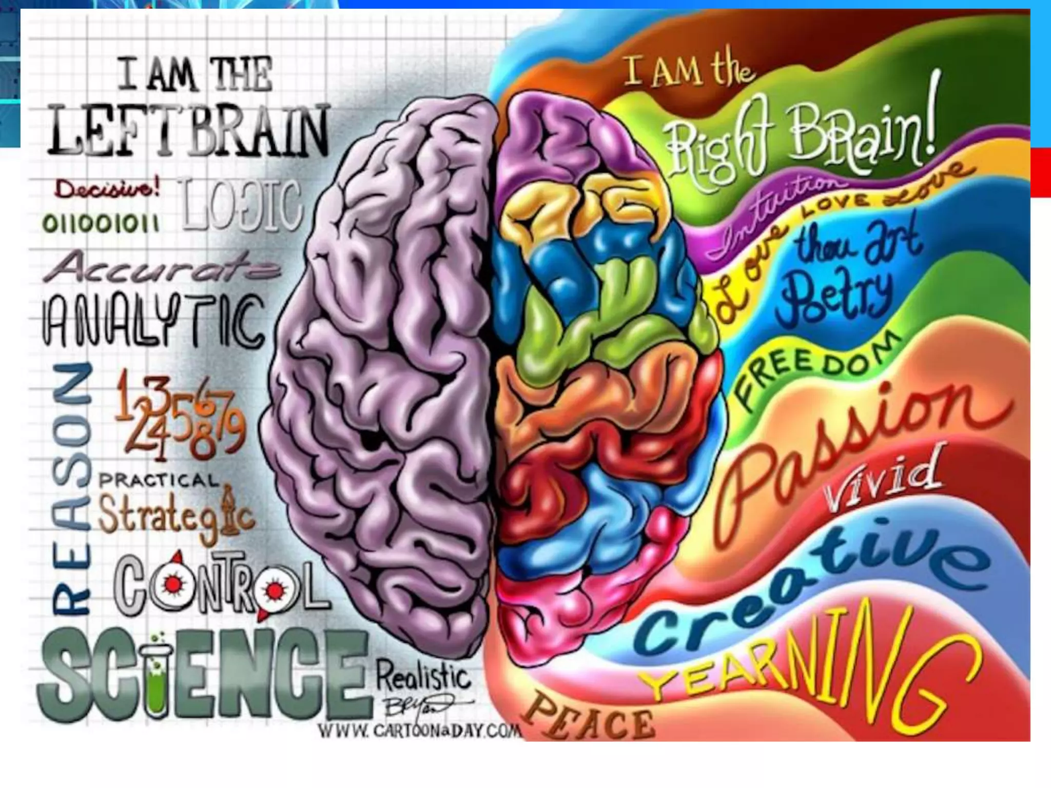 The Power of The Mind | PPTX