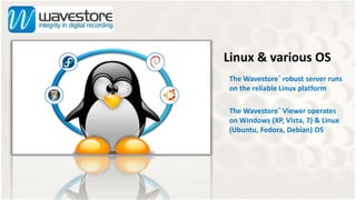 The Power Of Wavestore V01 | PPSX