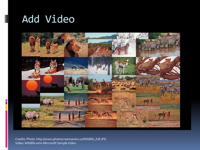 The power point experience | PPTX