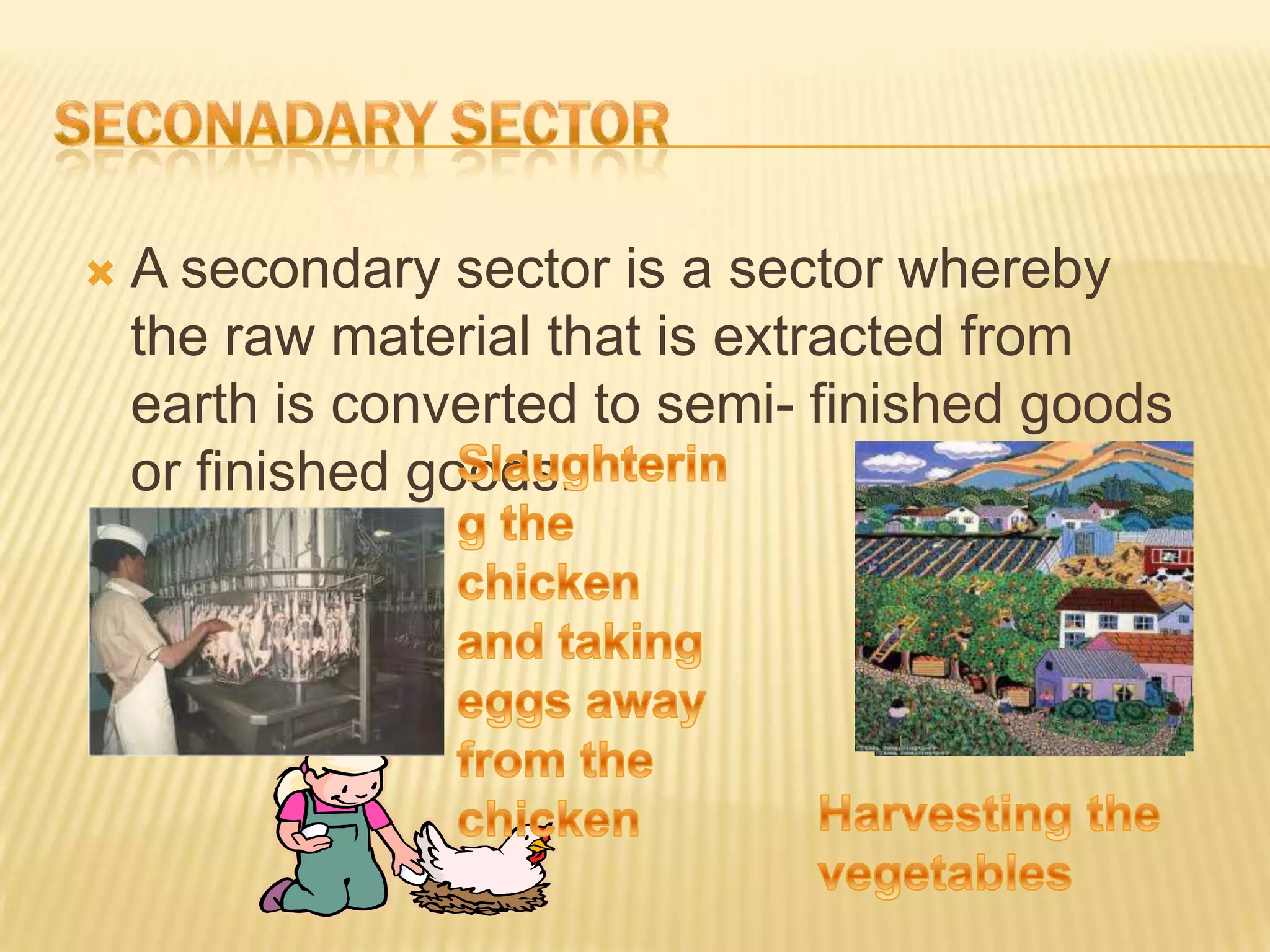 The powerpoint presentation of the sector of economy | PPTX