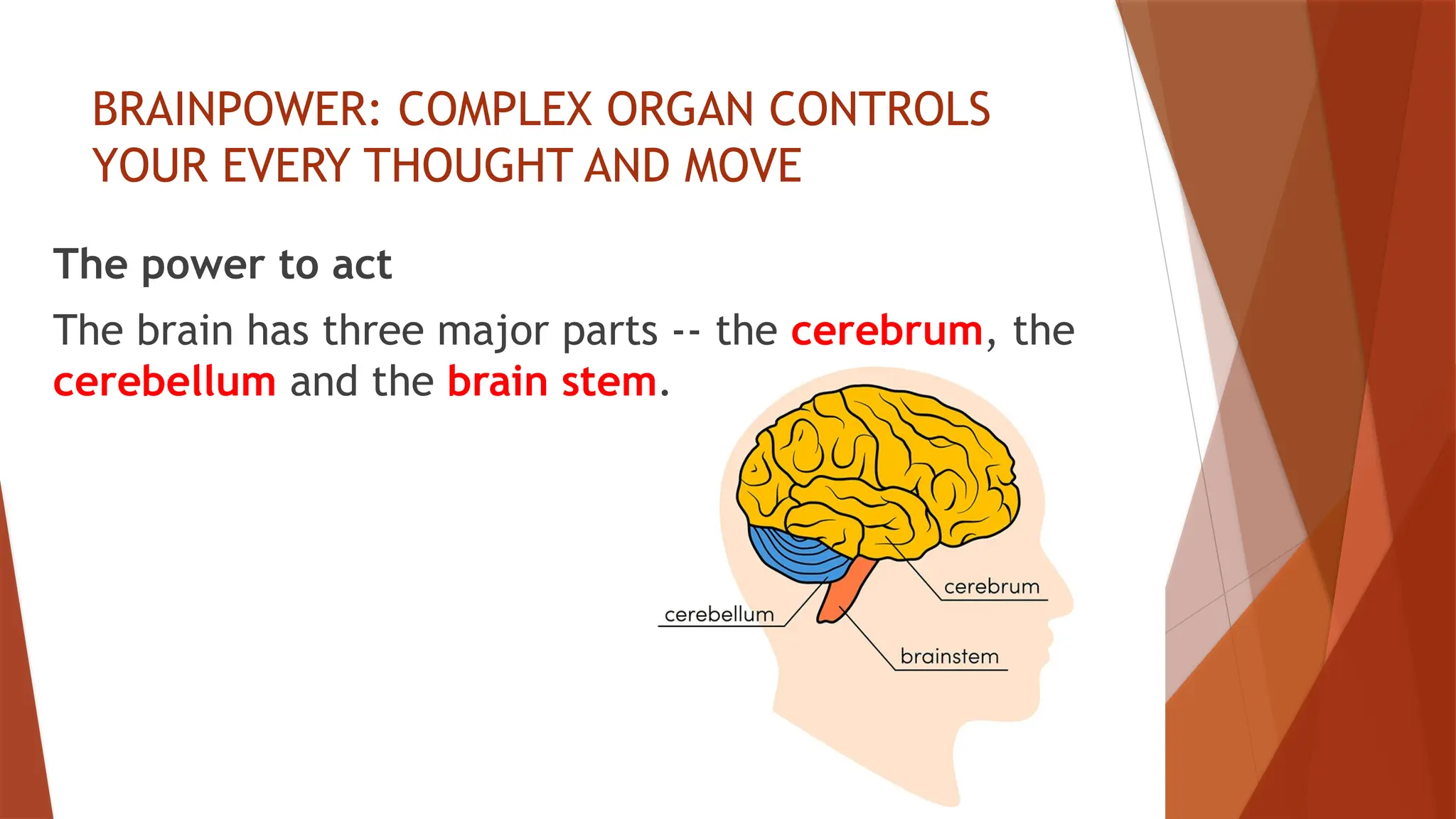 The Powers of the Mind (Personal Development - Grade 12).pptx