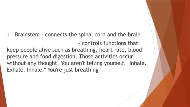 The Powers of the Mind (Personal Development - Grade 12).pptx | Brain ...