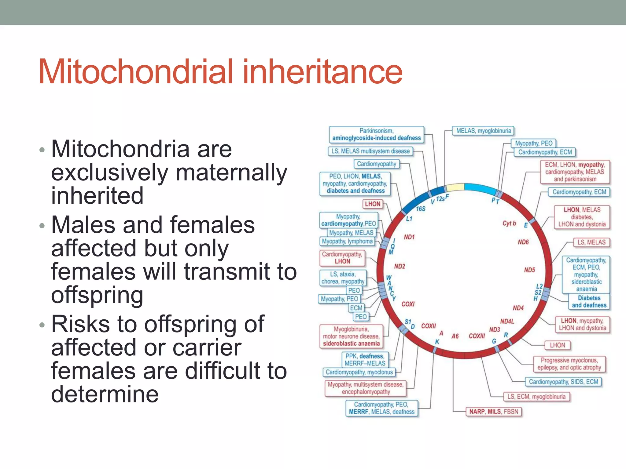 The practice of genetics in clinical medicine | PPTX | Genetics | Science