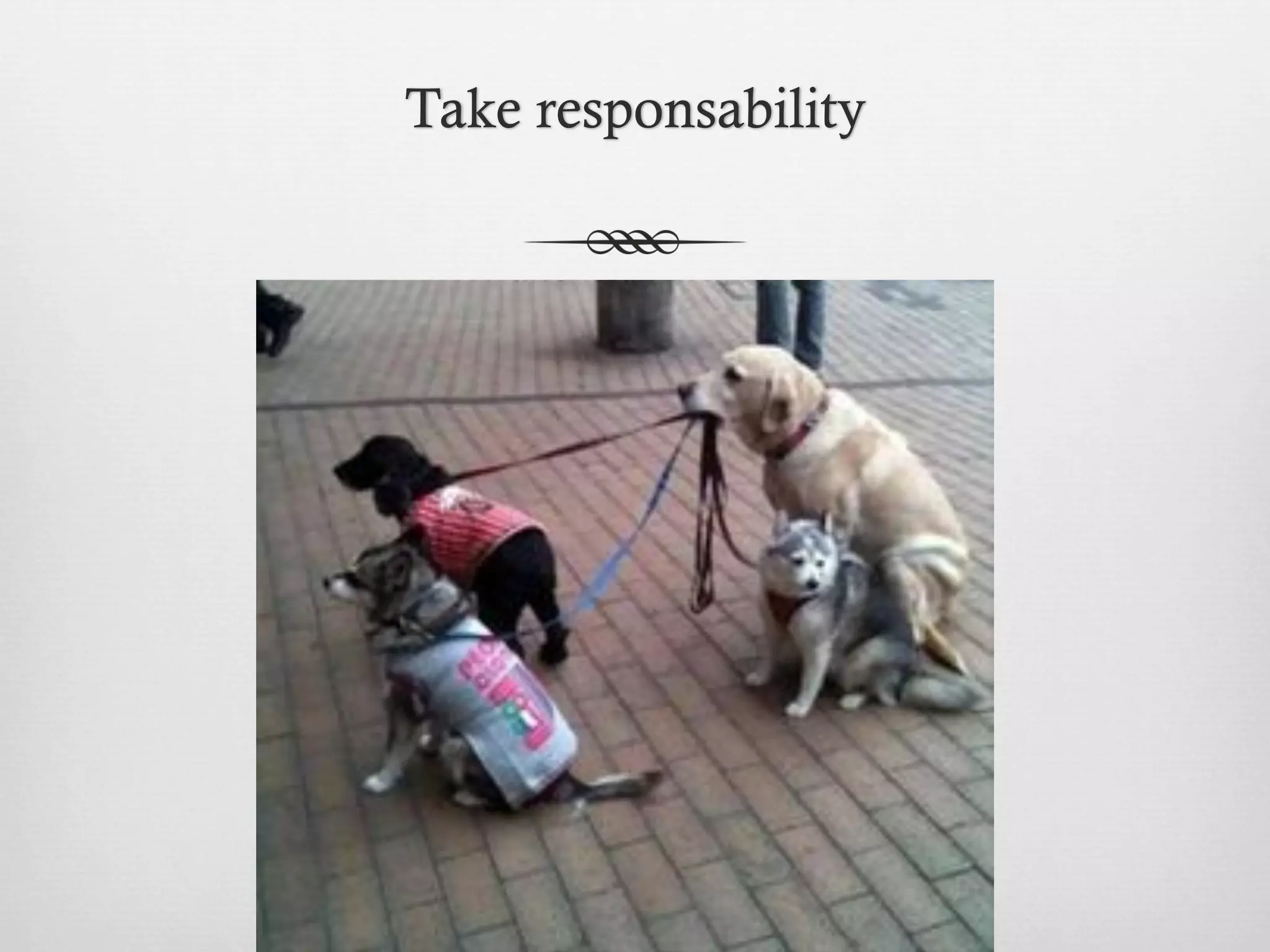 The pragmatic programmer | PDF