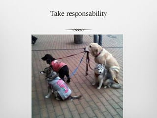 The pragmatic programmer | PDF | Programming Languages | Computing