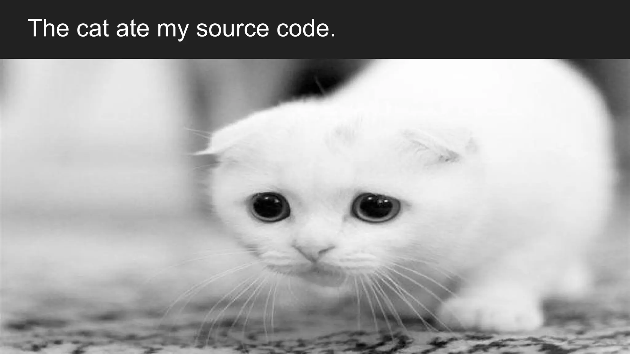 The pragmatic programmer | PPT