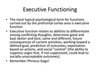 The prefrontal cortex | PPTX