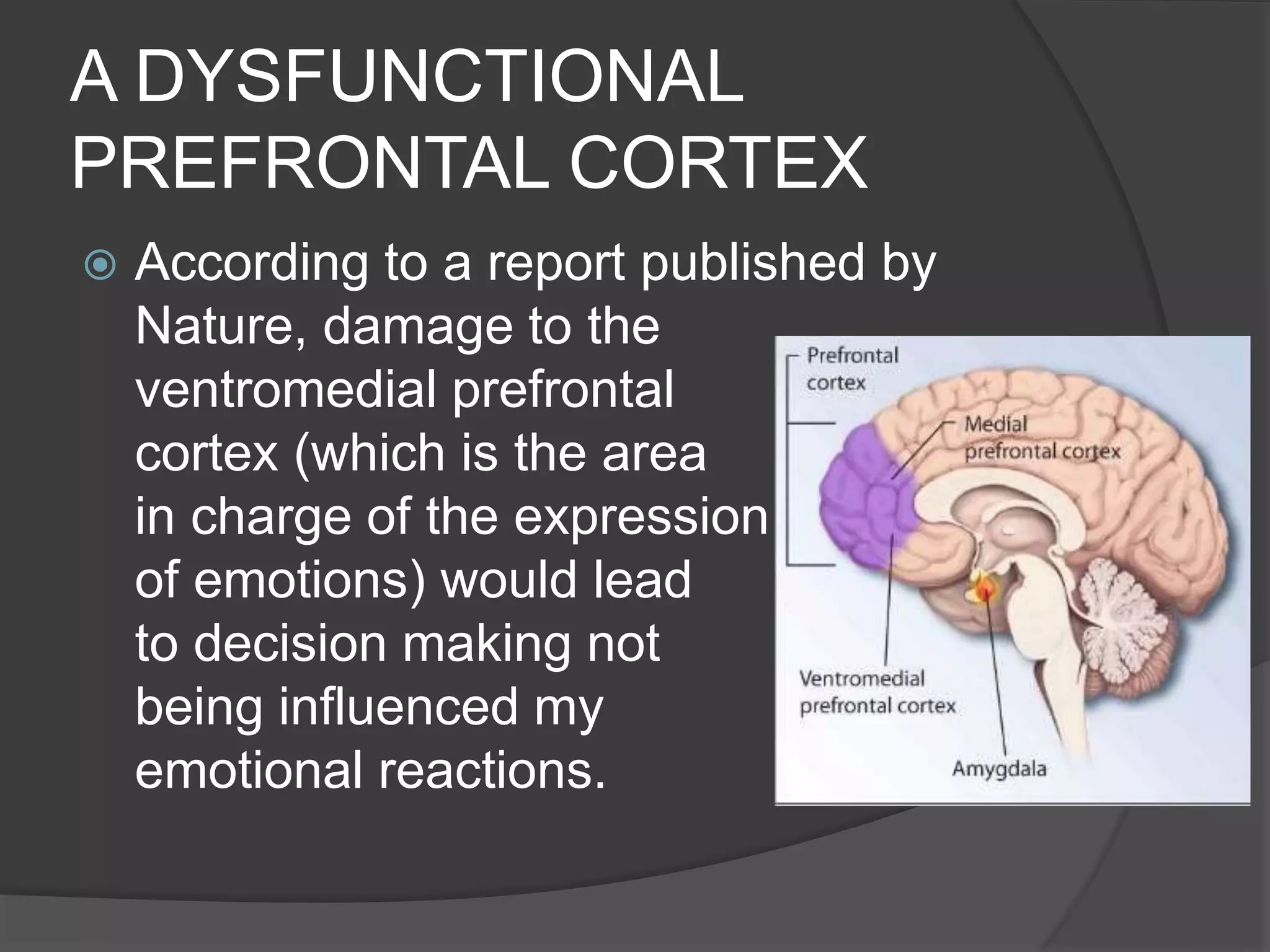 The Prefrontal Cortex | PPTX