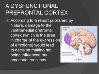 The Prefrontal Cortex | PPTX