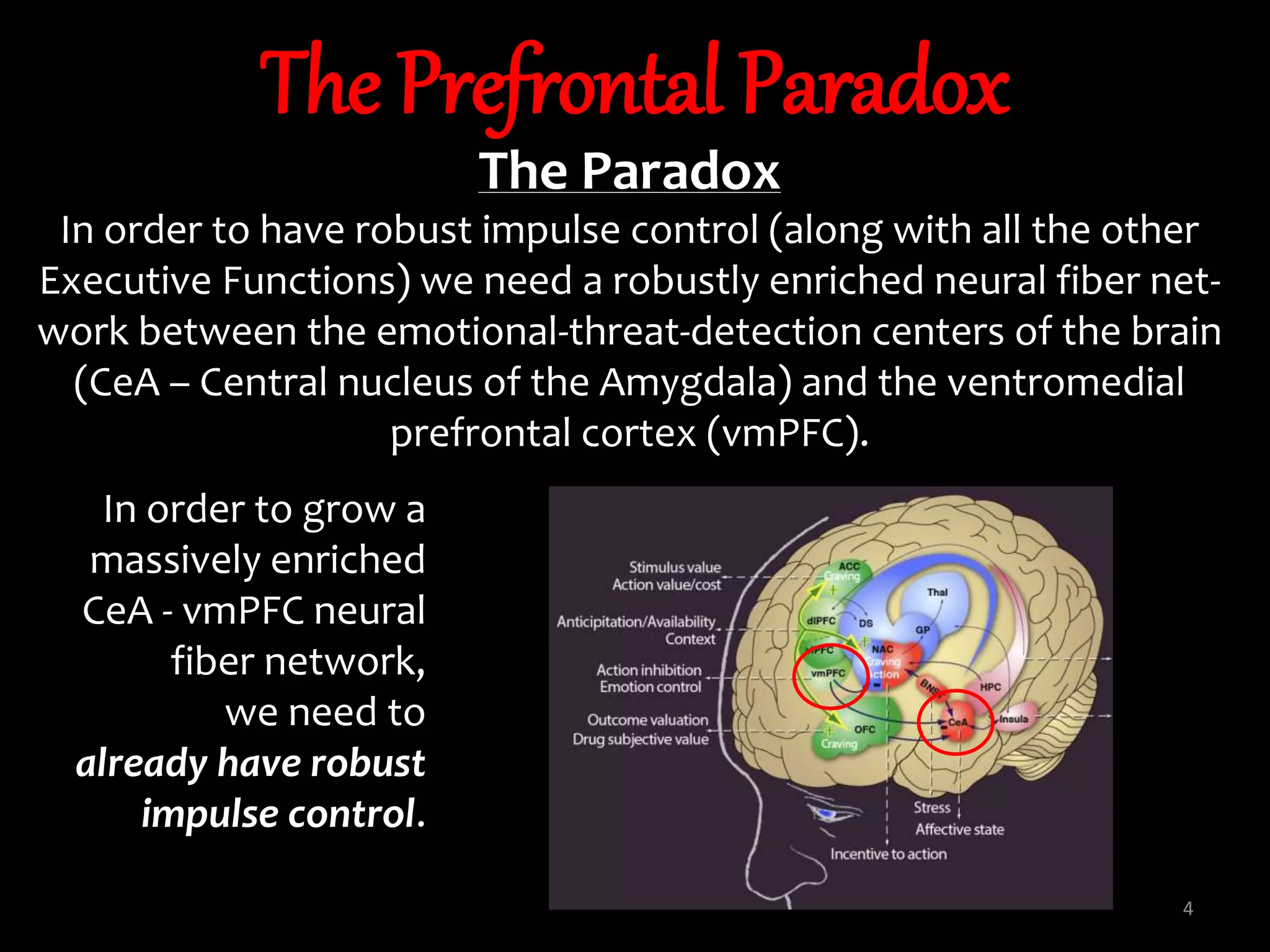 The Prefrontal Paradox | PPTX | Brain and Nervous System Disorders ...