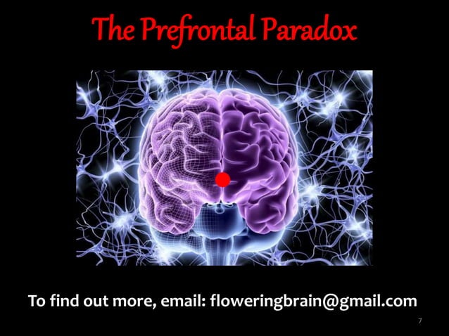 The Prefrontal Paradox | PPTX | Brain and Nervous System Disorders ...