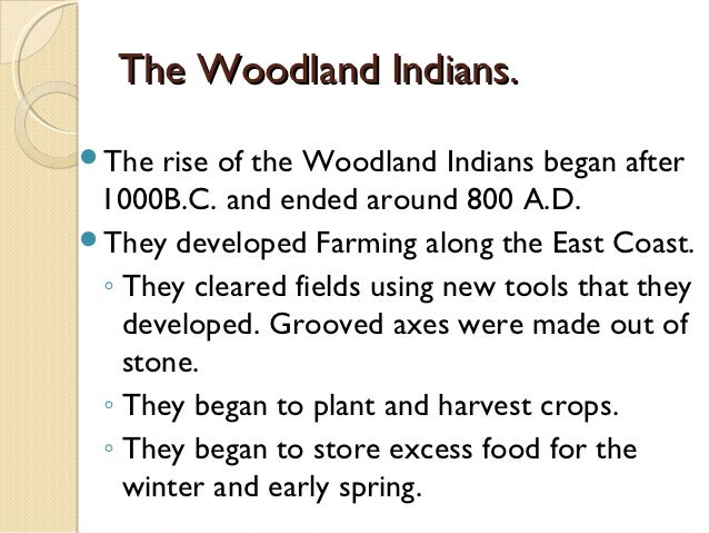 The prehistoric americans part 2