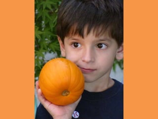 The Preschool Pumpkin Patch | PPSX