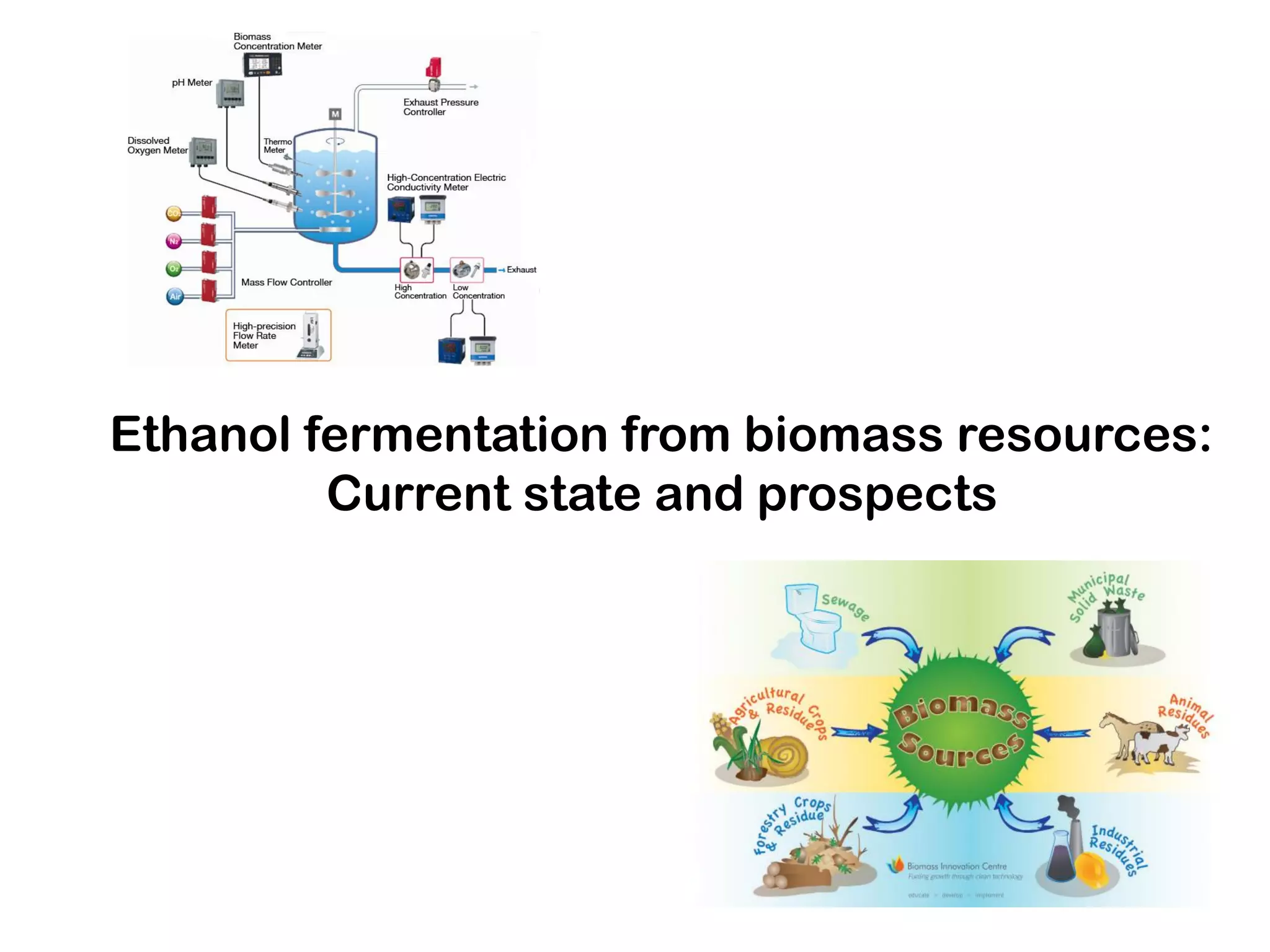 ETHANOL FERMENTATION USING BIOMASS | PDF