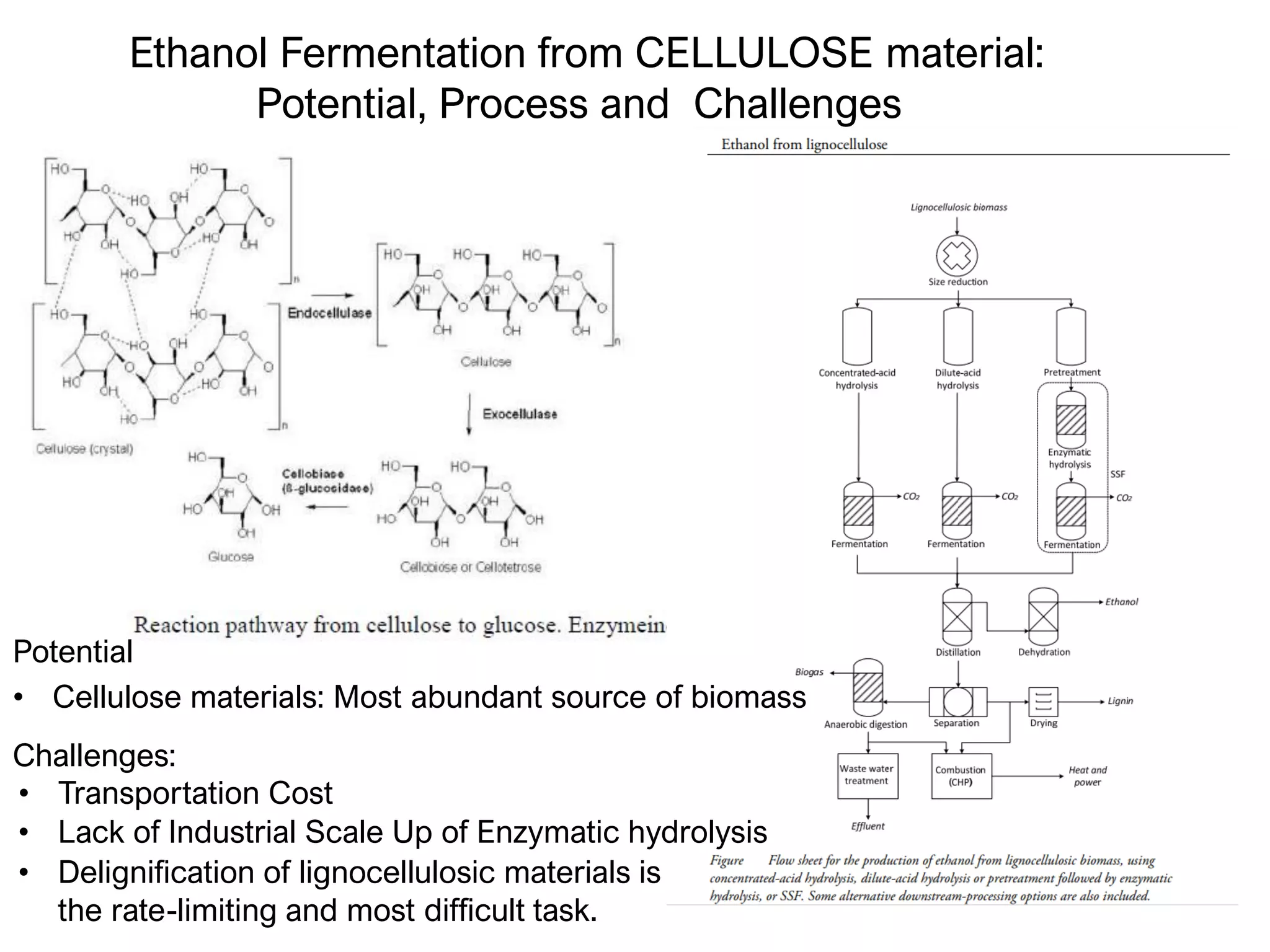 ETHANOL FERMENTATION USING BIOMASS | PDF