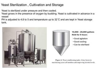 ETHANOL FERMENTATION USING BIOMASS | PDF